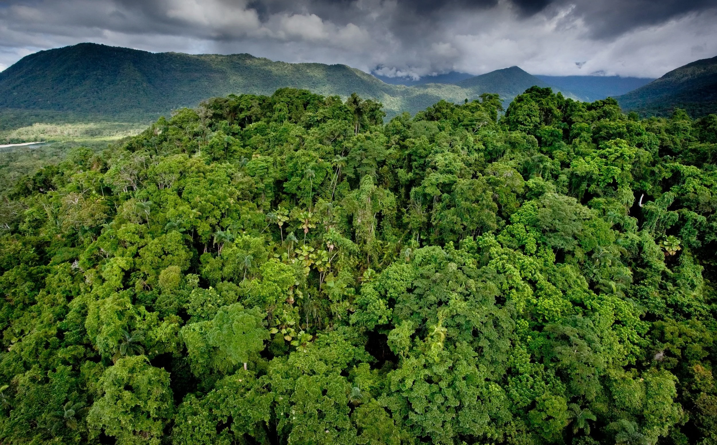 ClimateForce | Rainforest Regeneration
