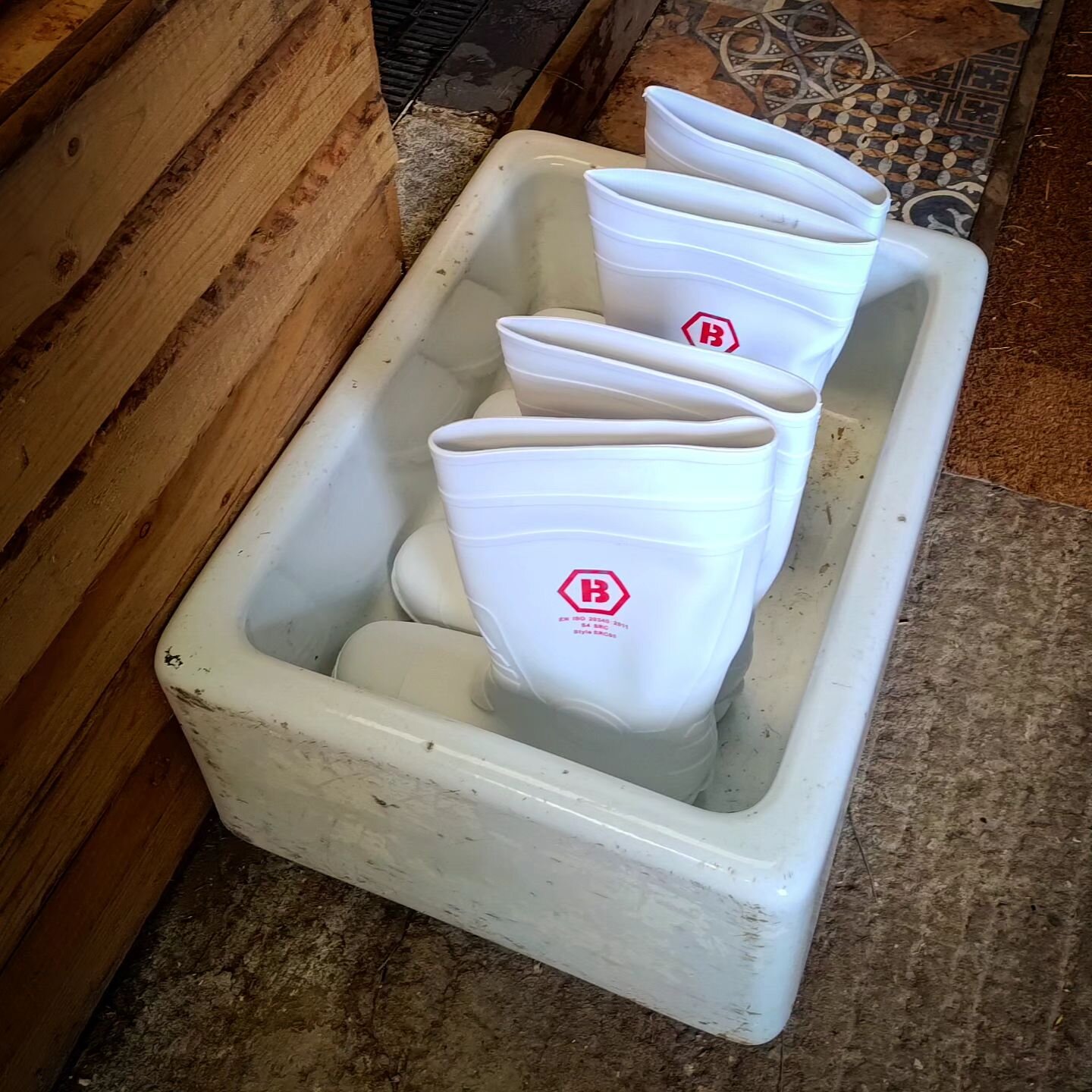 On The Level Brew Co.