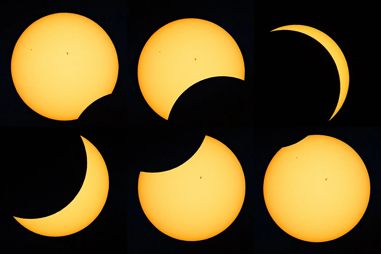 Gallery 1 — Benzie Audubon Club