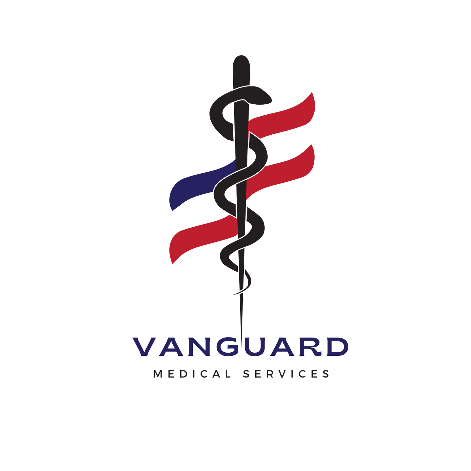 Vanguard Healthcare Icon