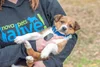 NOVA Pets Alive!
