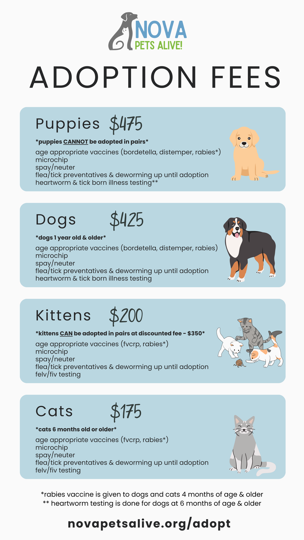 Adopt — NOVA Pets Alive!