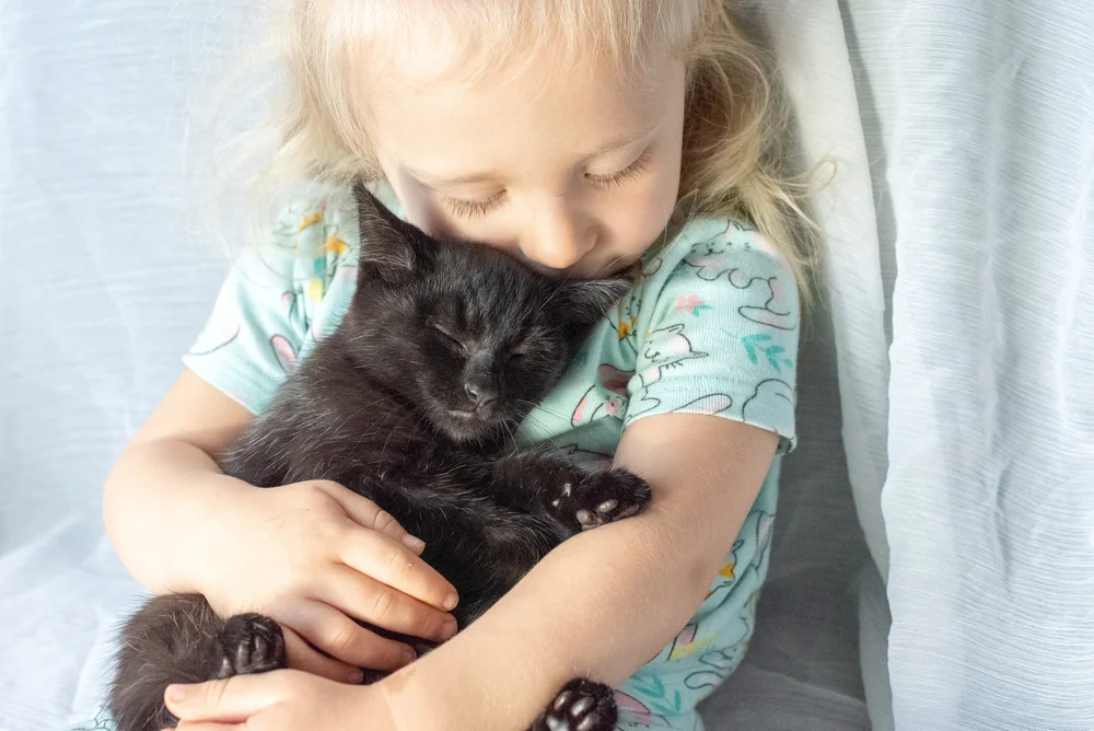 Adopt — NOVA Pets Alive!