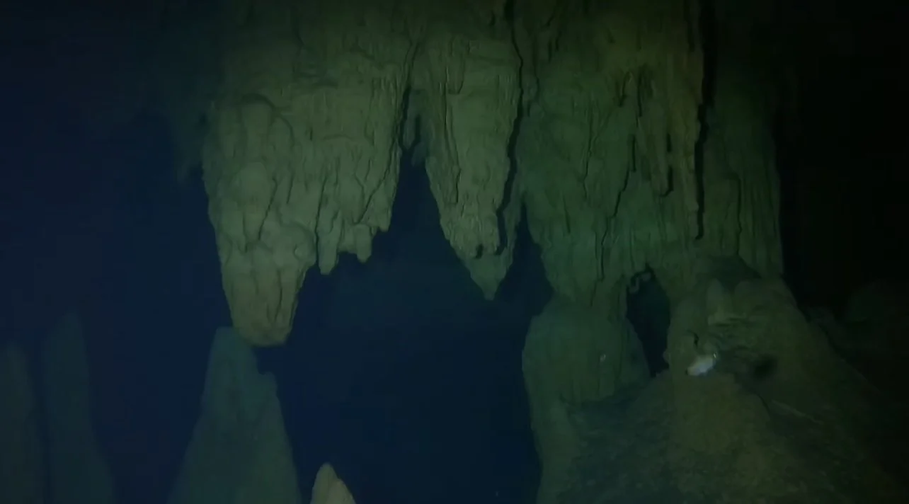 Cenote Diving in Tak Be Luum. The Gate of Hell - Rigo The Cenote Guide