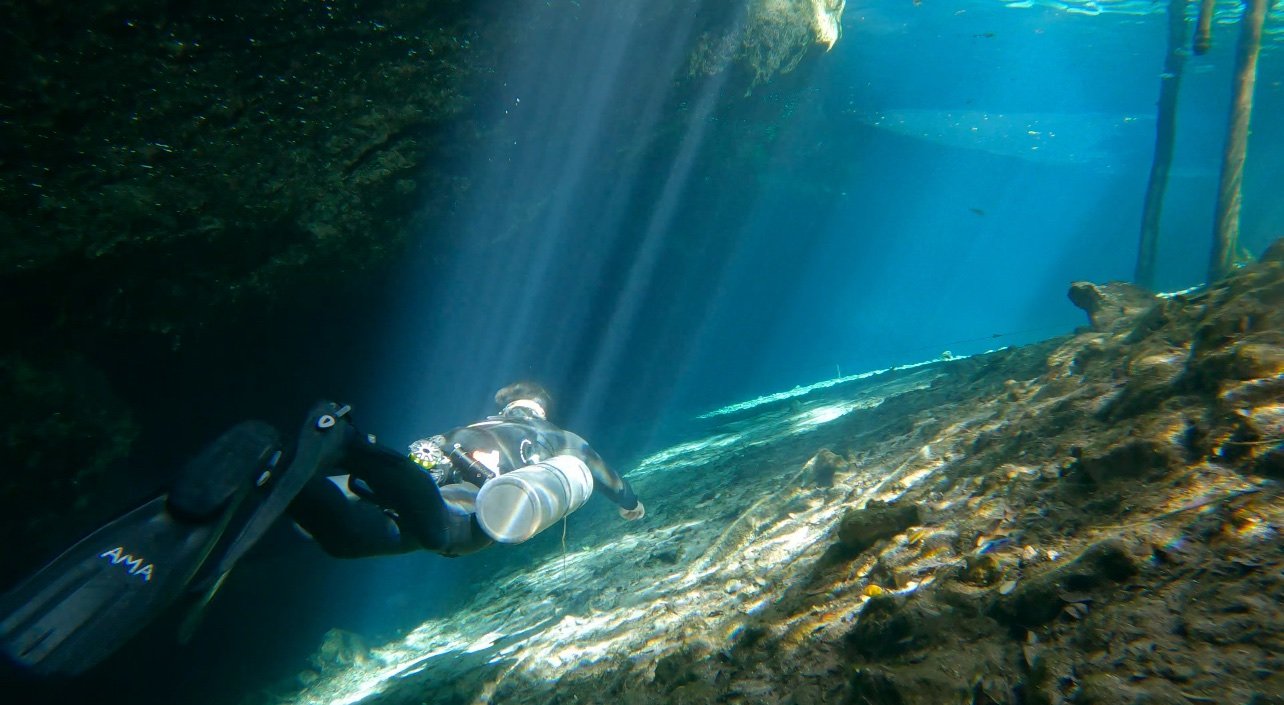Cenote Diving in Dreamgate. The Cavern Dive of Your Dreams - Rigo The ...