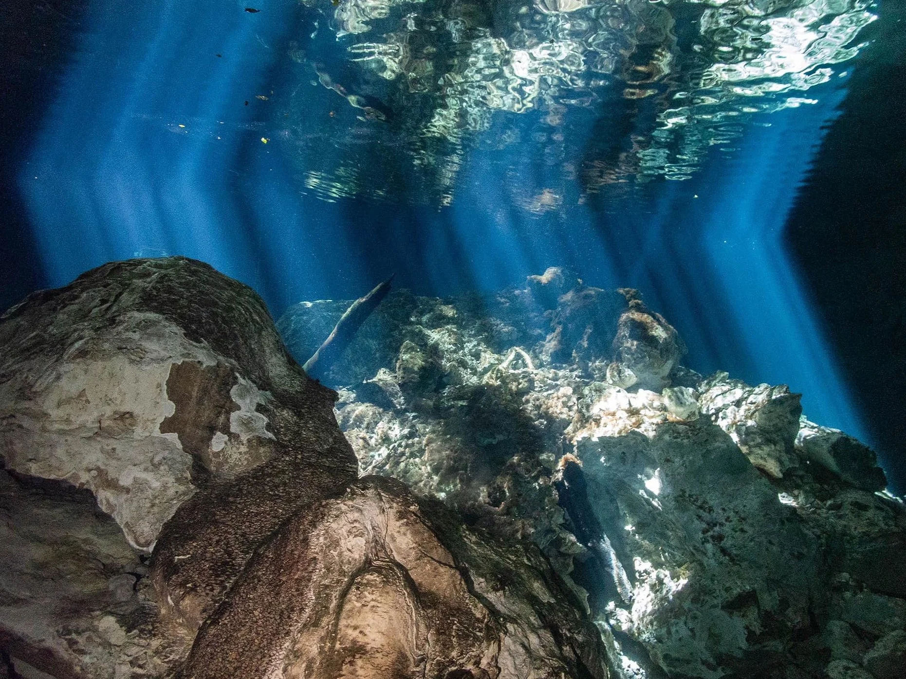 FAQ | Cenote Diving - Rigo The Cenote Guide