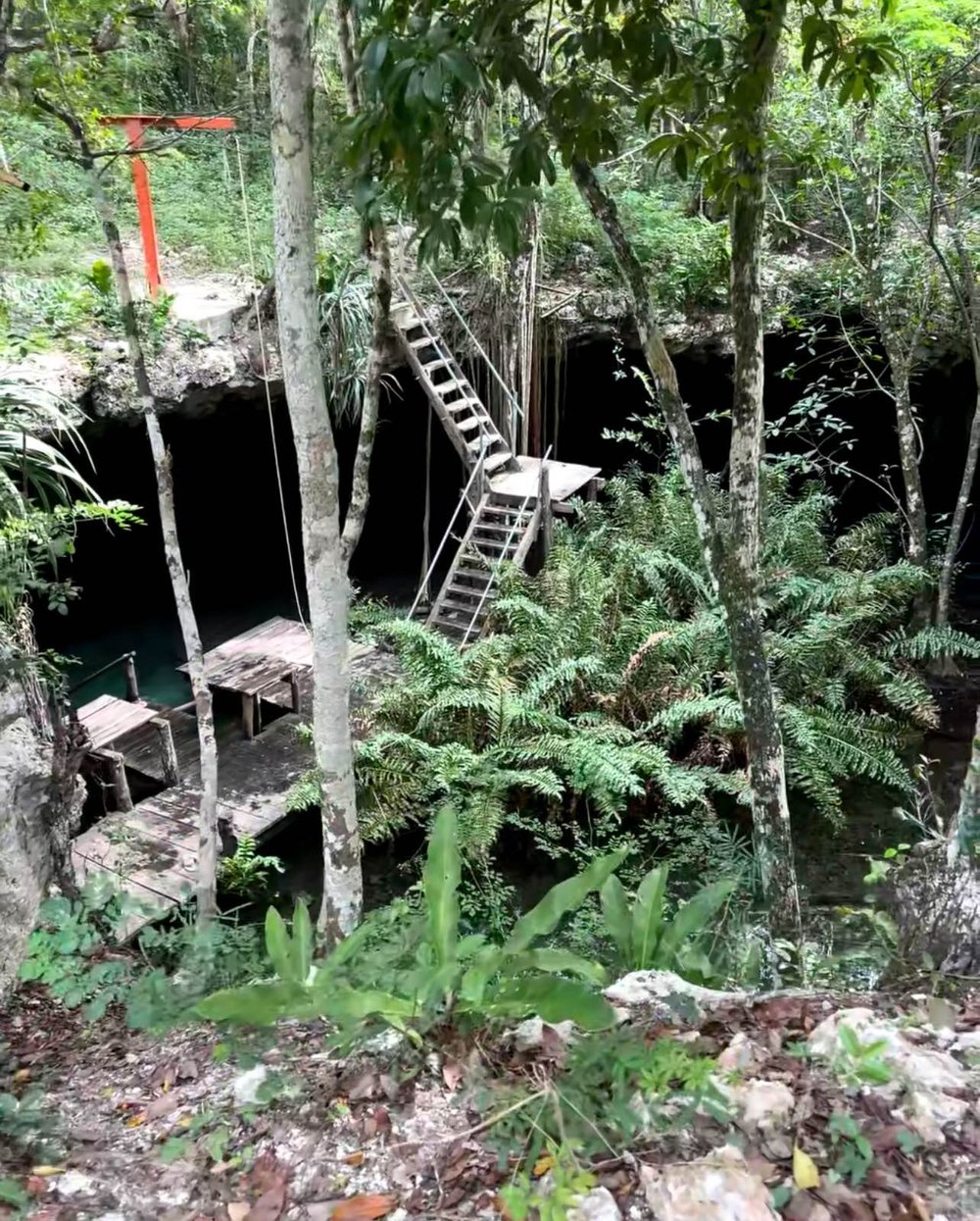 What is a Cenote? - Rigo The Cenote Guide