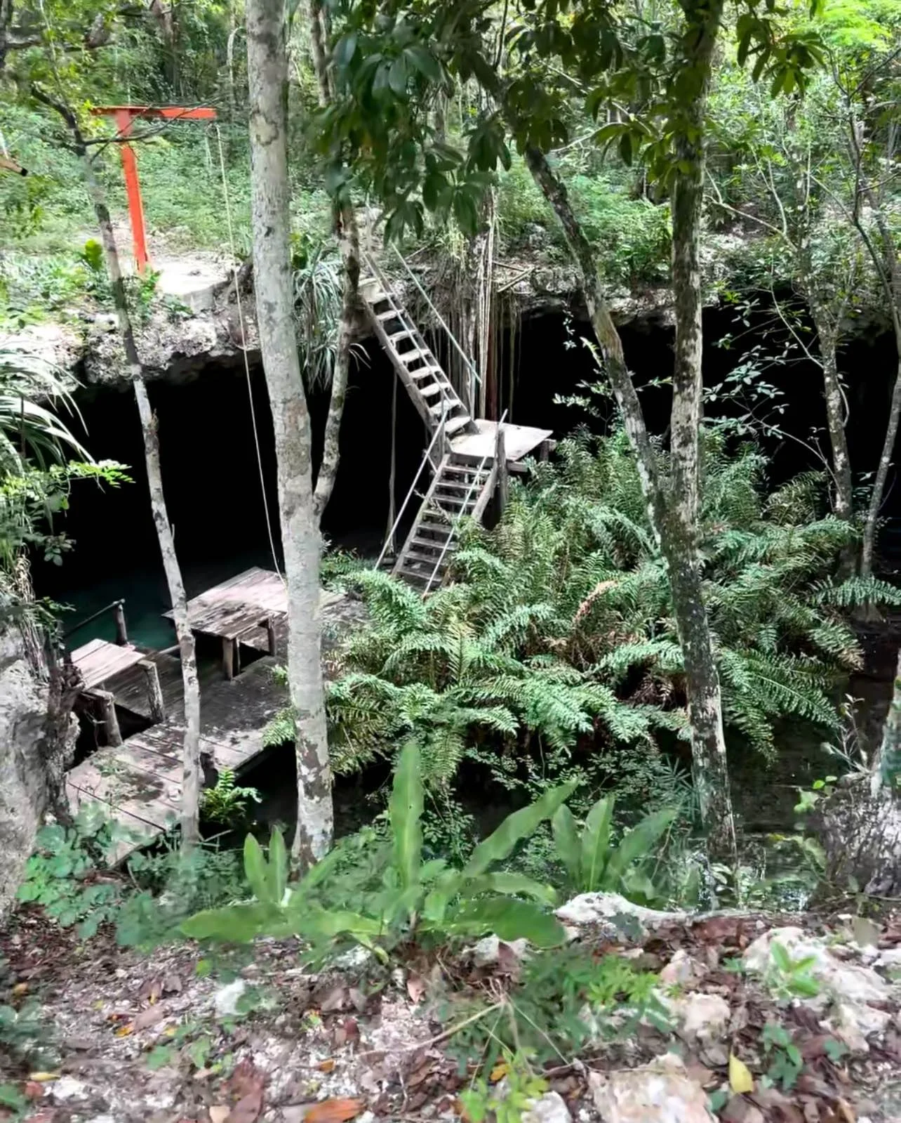 What is a Cenote? - Rigo The Cenote Guide