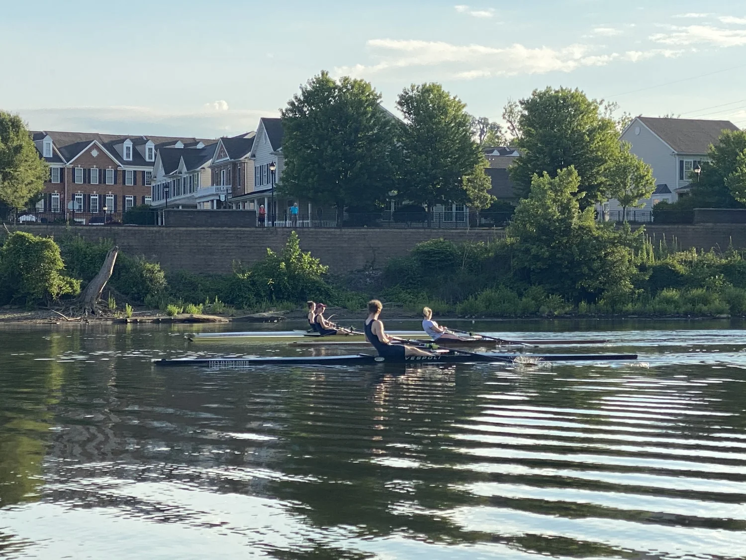 Steel City Rowing Club