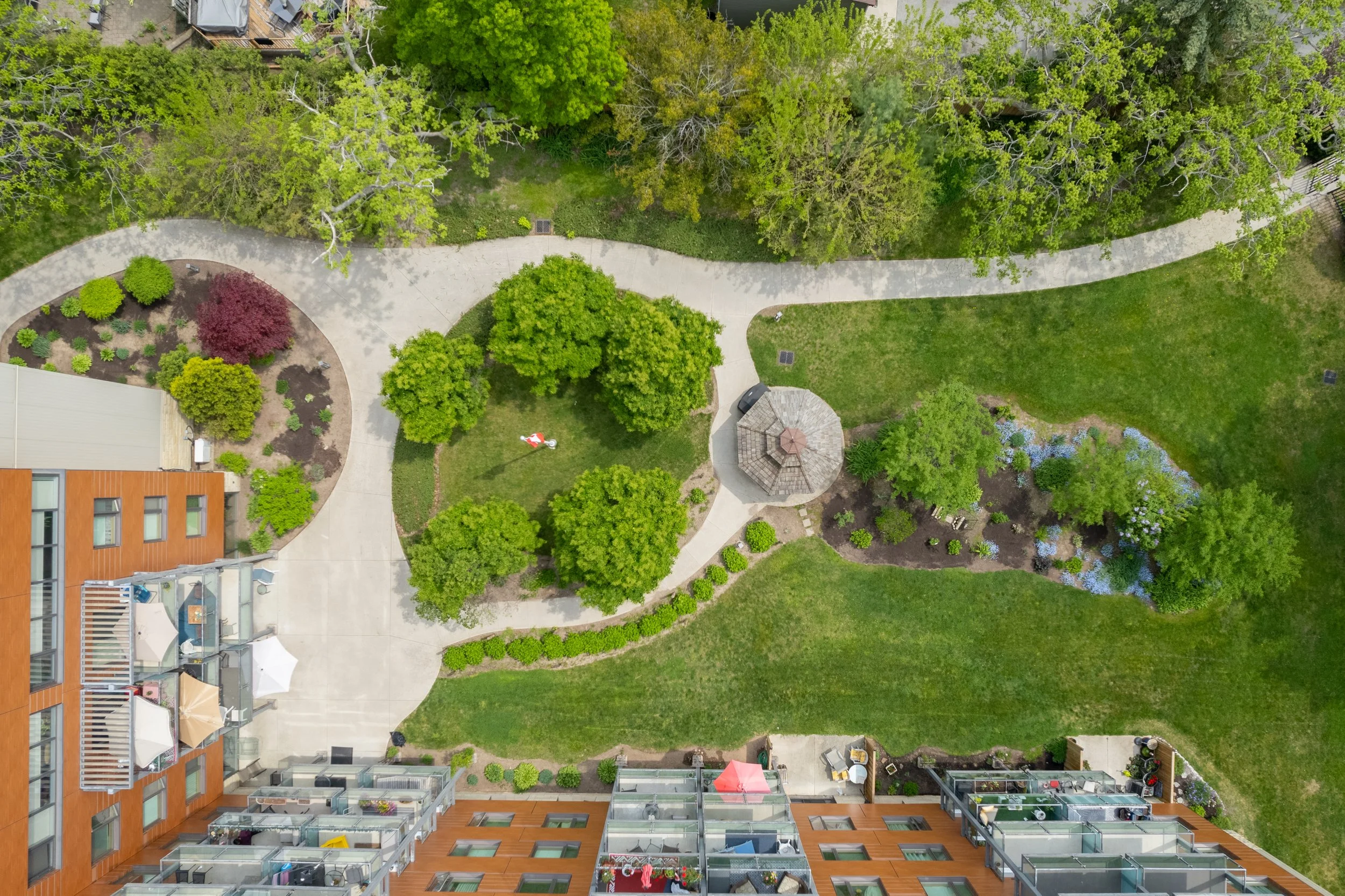 The Team — Bonnie Place