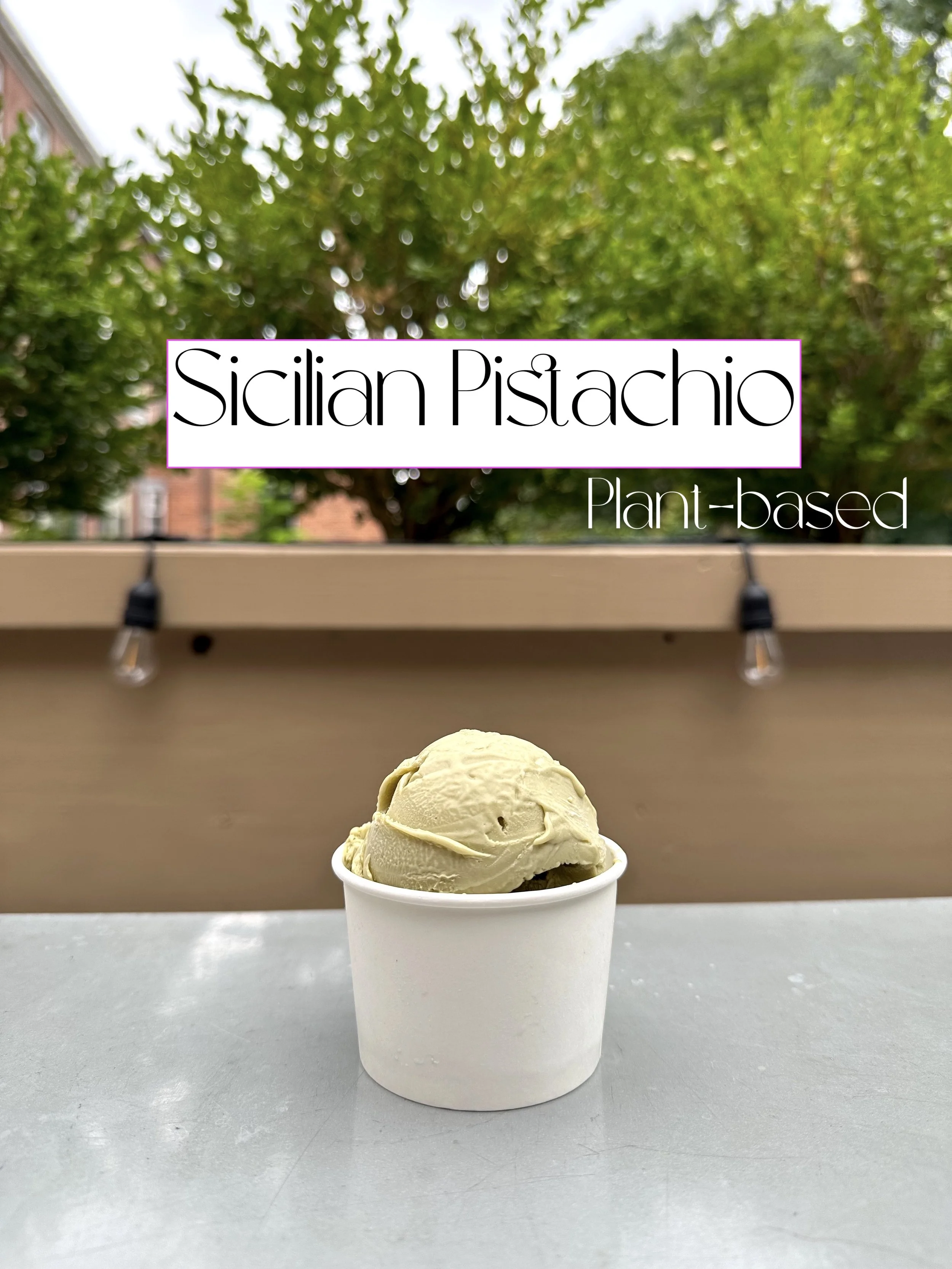 Biddrina Gelato