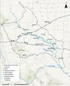Friends of the Pecos River