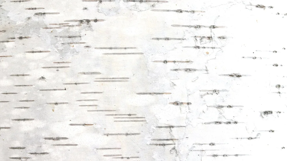 Isaac Murdoch — Giiwedinong Treaty Rights & Culture Museum