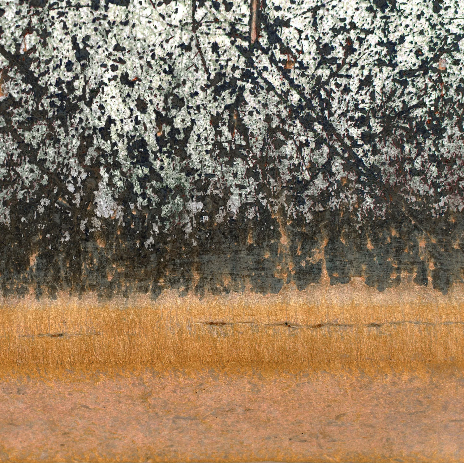 SOLSTICE GALLERY