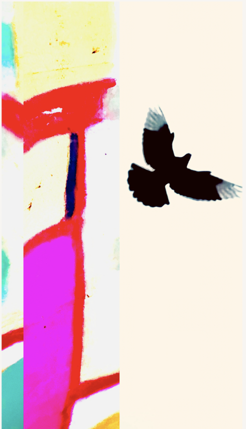 SOLSTICE GALLERY