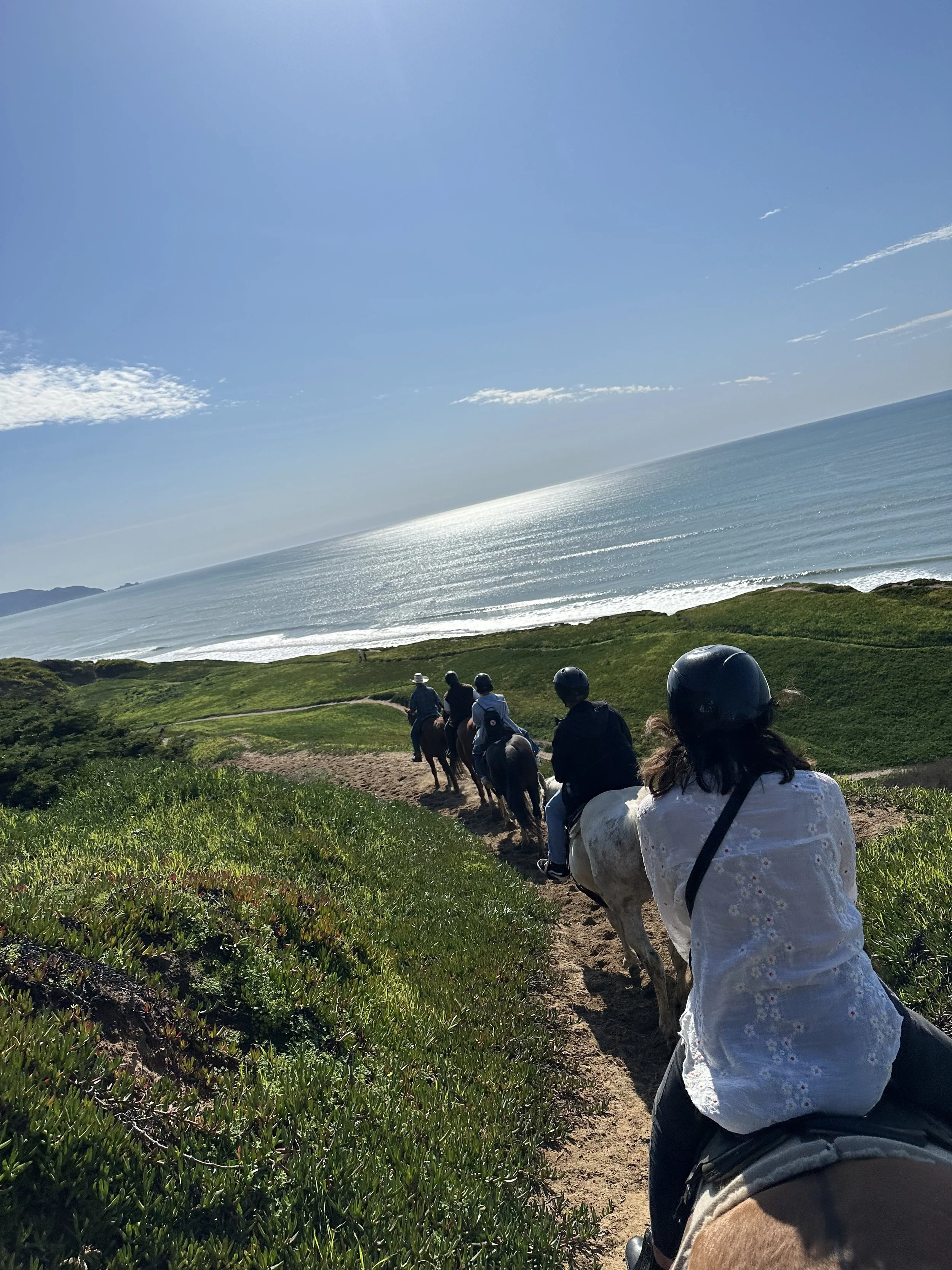 Horseback Rides to the Beach | Minutes from San Francisco Zoo