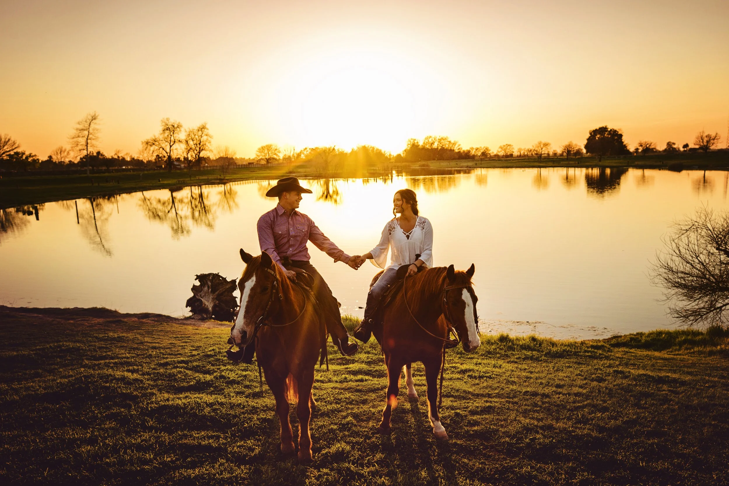 Horse Photography | Horseback Riding Horse Photography Experience ...