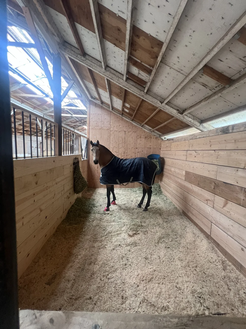 Boarding | Coastal Trails | Horse Boarding — Ocean View Stables