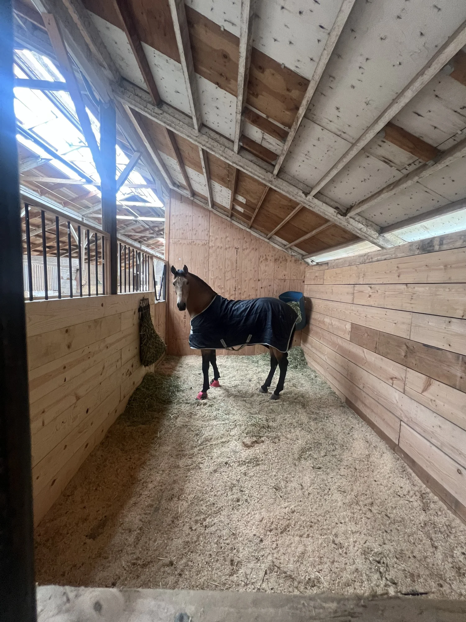 Boarding | Coastal Trails | Horse Boarding — Ocean View Stables