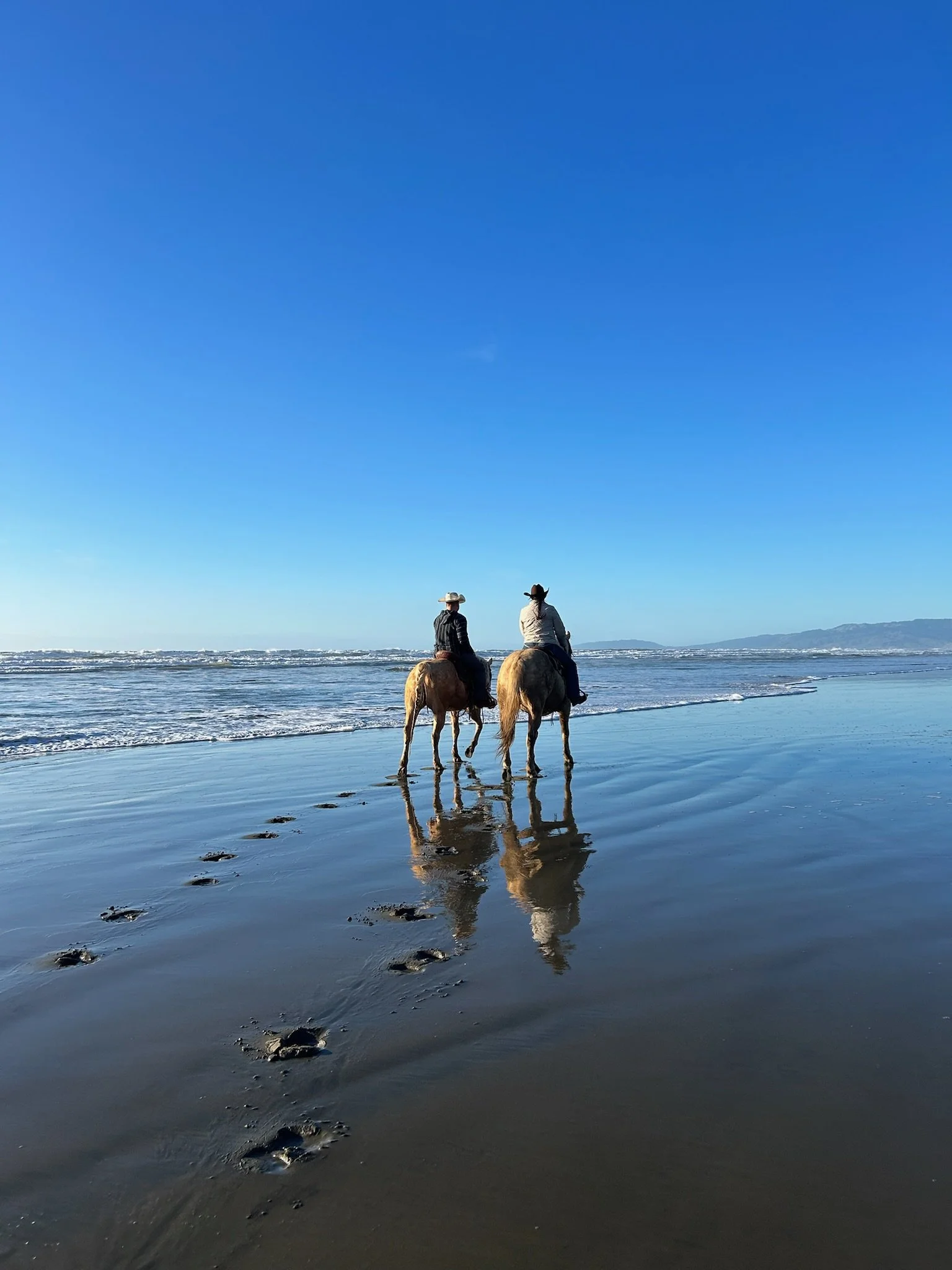 Horseback Rides to the Beach | Minutes from San Francisco Zoo