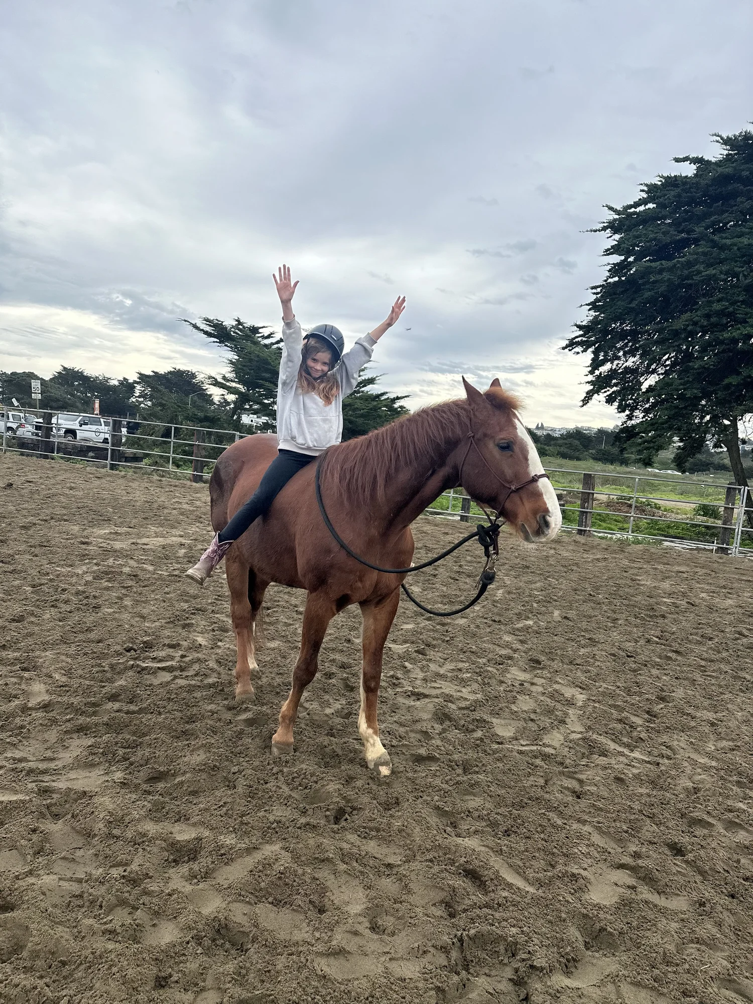 Horseback Rides to the Beach | Minutes from San Francisco Zoo