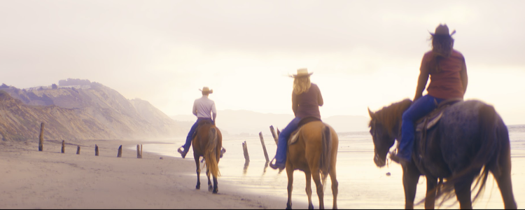 Horseback Rides to the Beach | Minutes from San Francisco Zoo