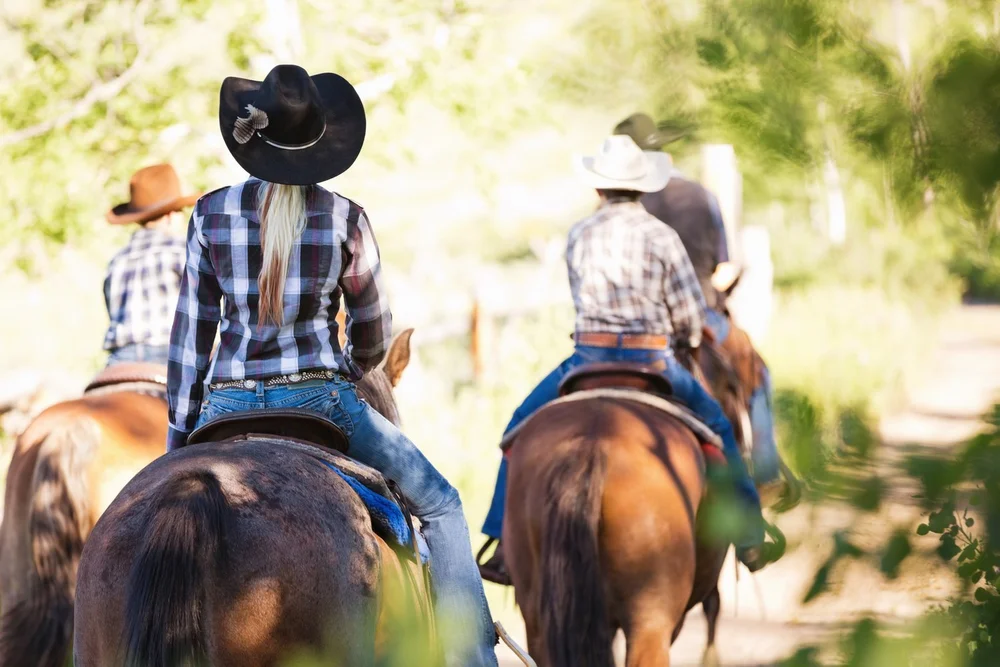 Lesson Program | Horse Training | Horseback Riding — Ocean View Stables