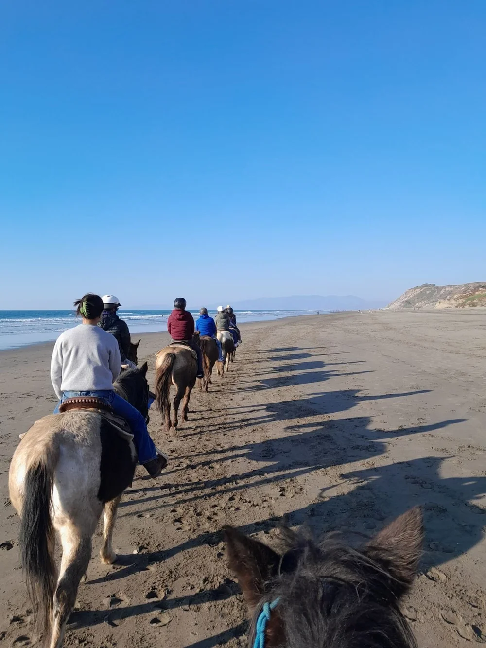 Trail Rides | Scenic Adventure | Beach Trail Rides — Ocean View Stables