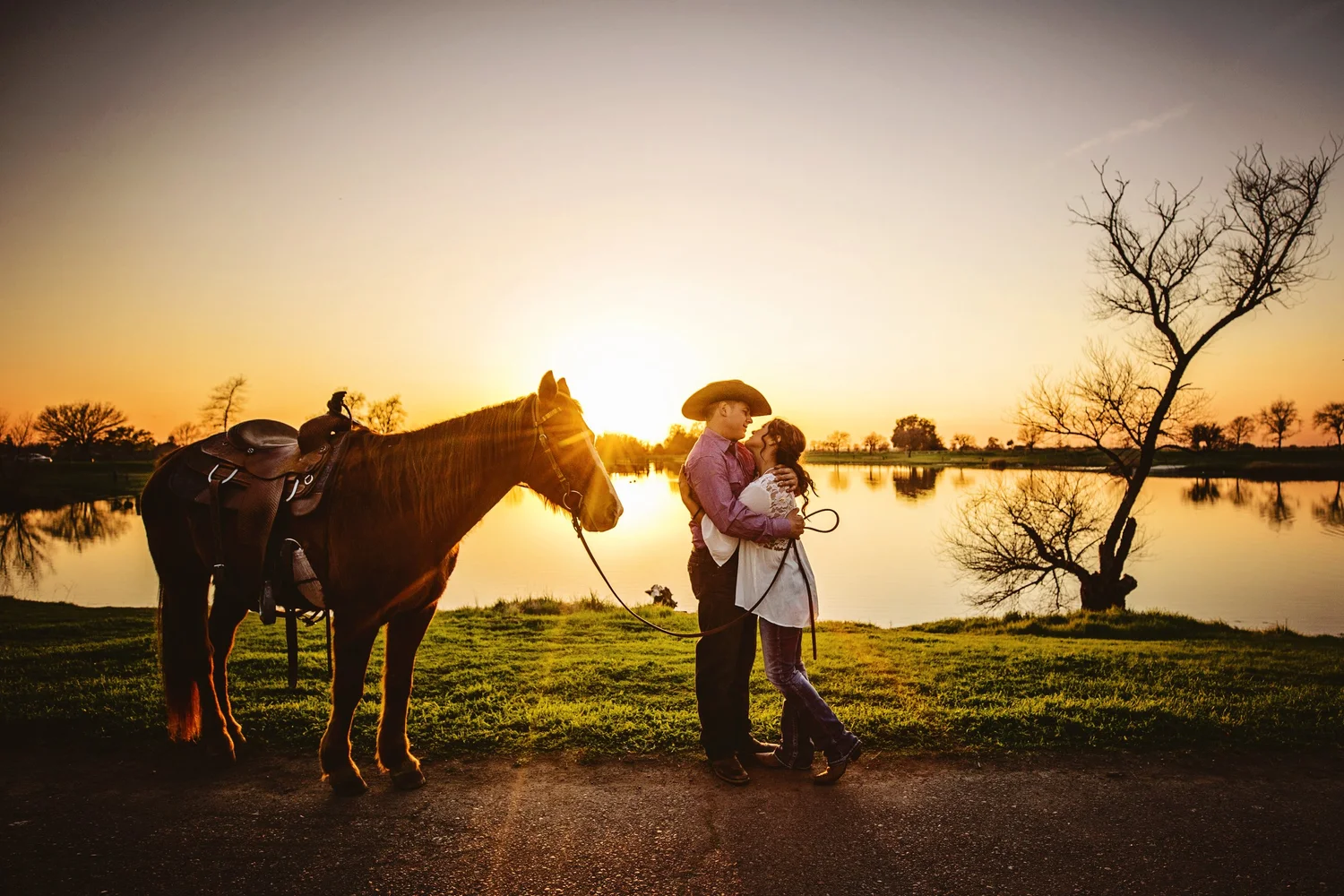 Trail Rides | Scenic Adventure | Beach Trail Rides — Ocean View Stables