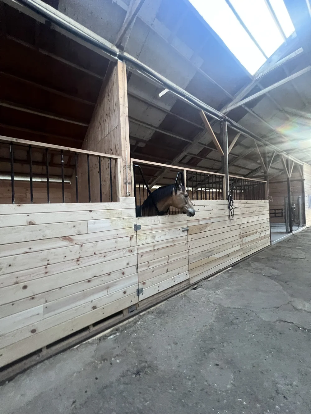 Boarding | Coastal Trails | Horse Boarding — Ocean View Stables