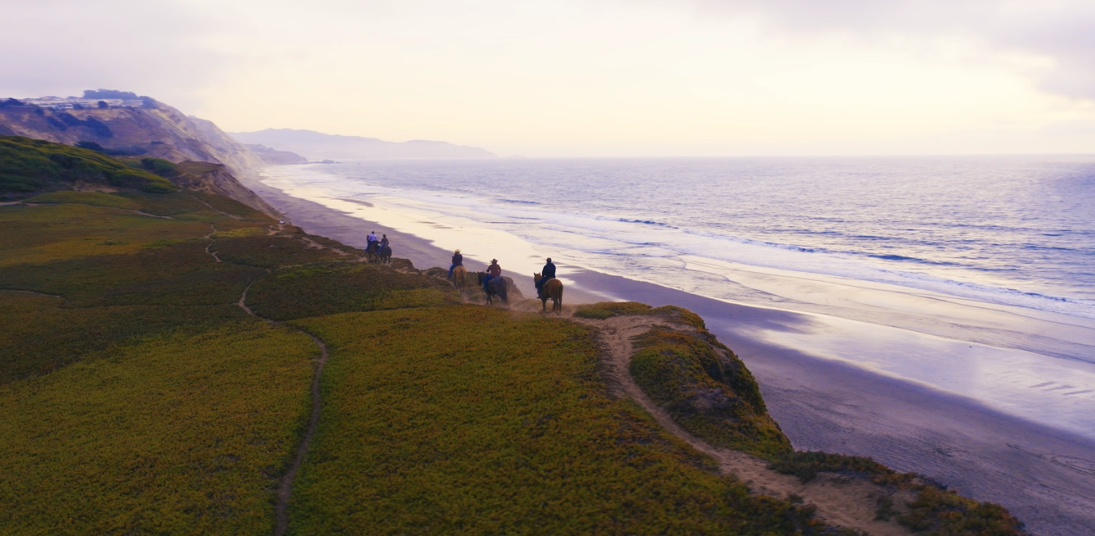 Horseback Rides to the Beach | Minutes from San Francisco Zoo