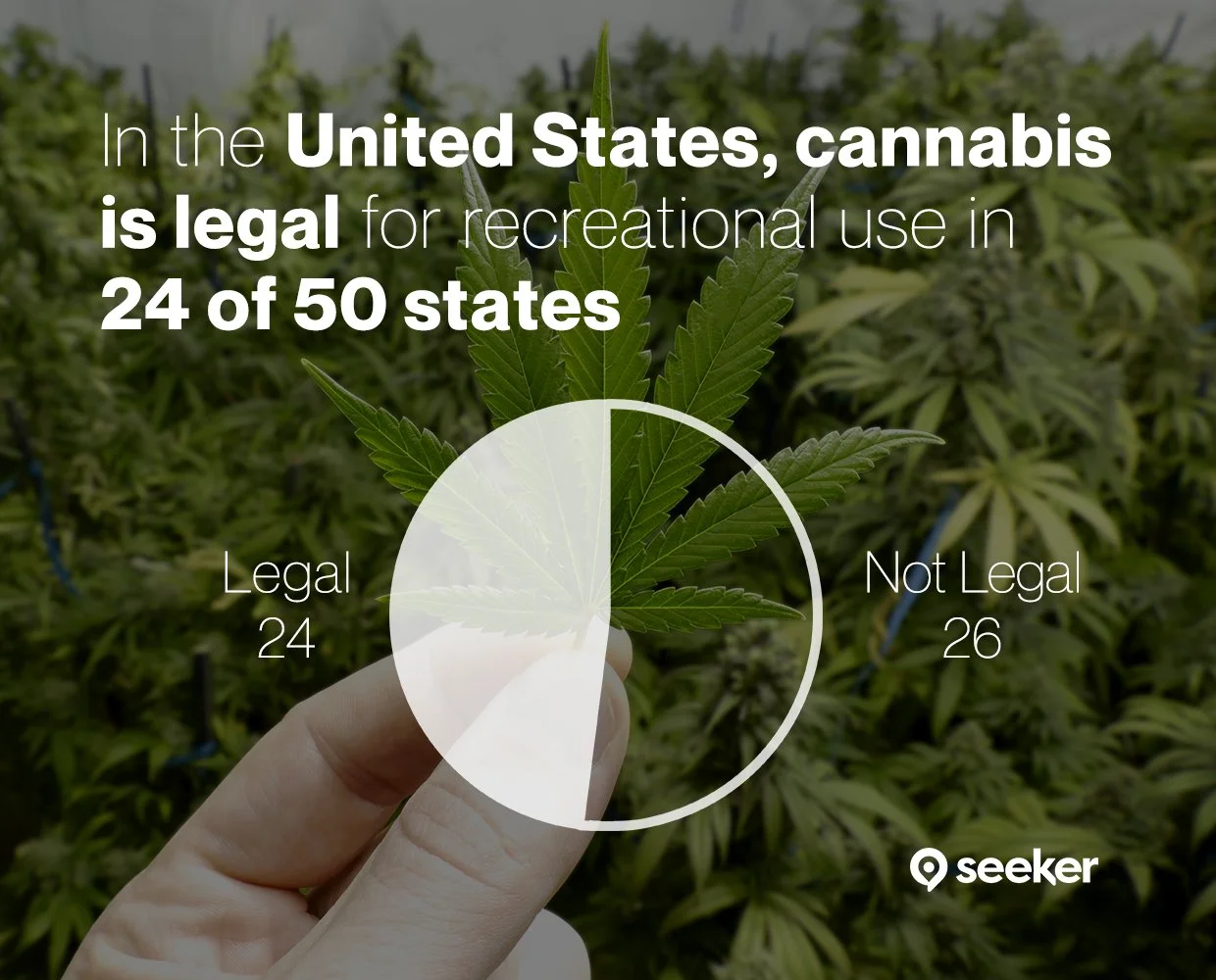 The Definitive Guide to Cannabis Tourism for Destination Marketers ...