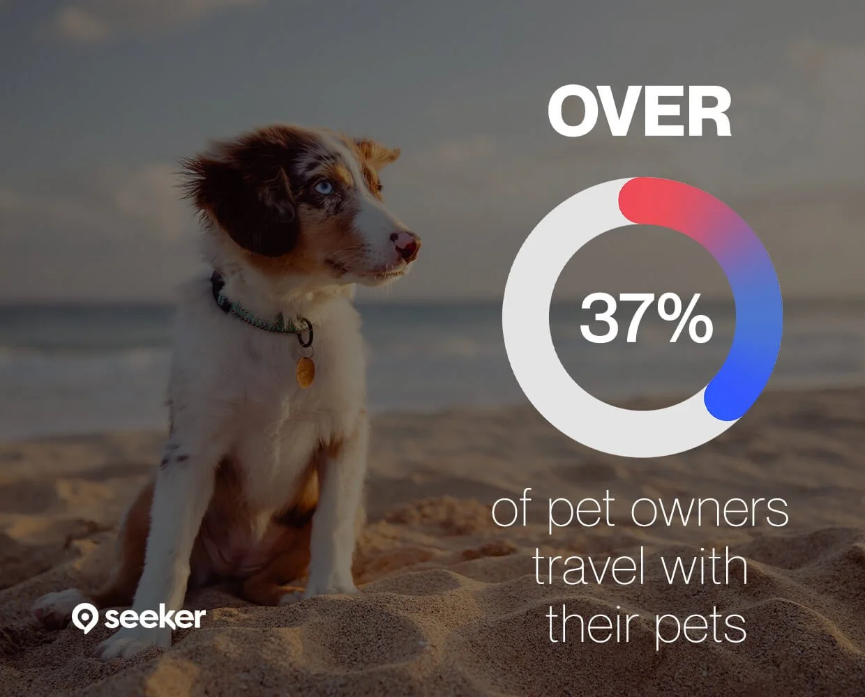 4 Strategies to Attract Pet Lovers to Your Destination — Explore