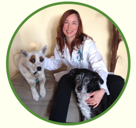 Pawsitive Pet Mobile Vet — The Barnyard Shopping Village Carmel