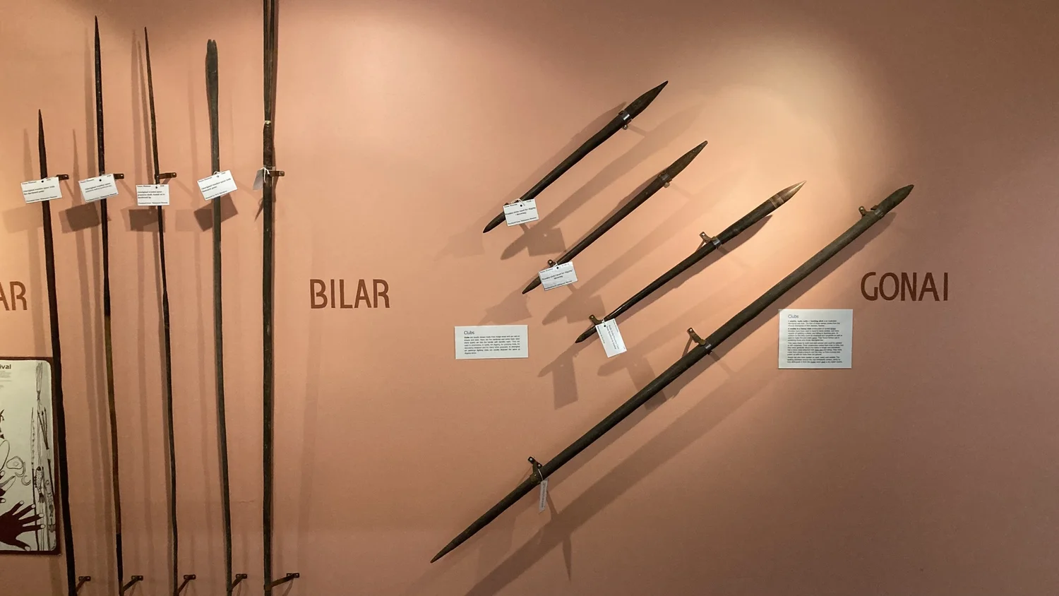 Gubbi Environment — Noosa Shire Museum