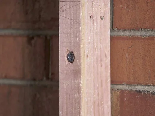 PYTHON MT | Structural Masonry Anchors — PYTHON Fasteners