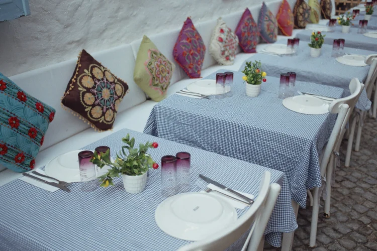 A Beginner’s Guide to Raki — Selam Magazine