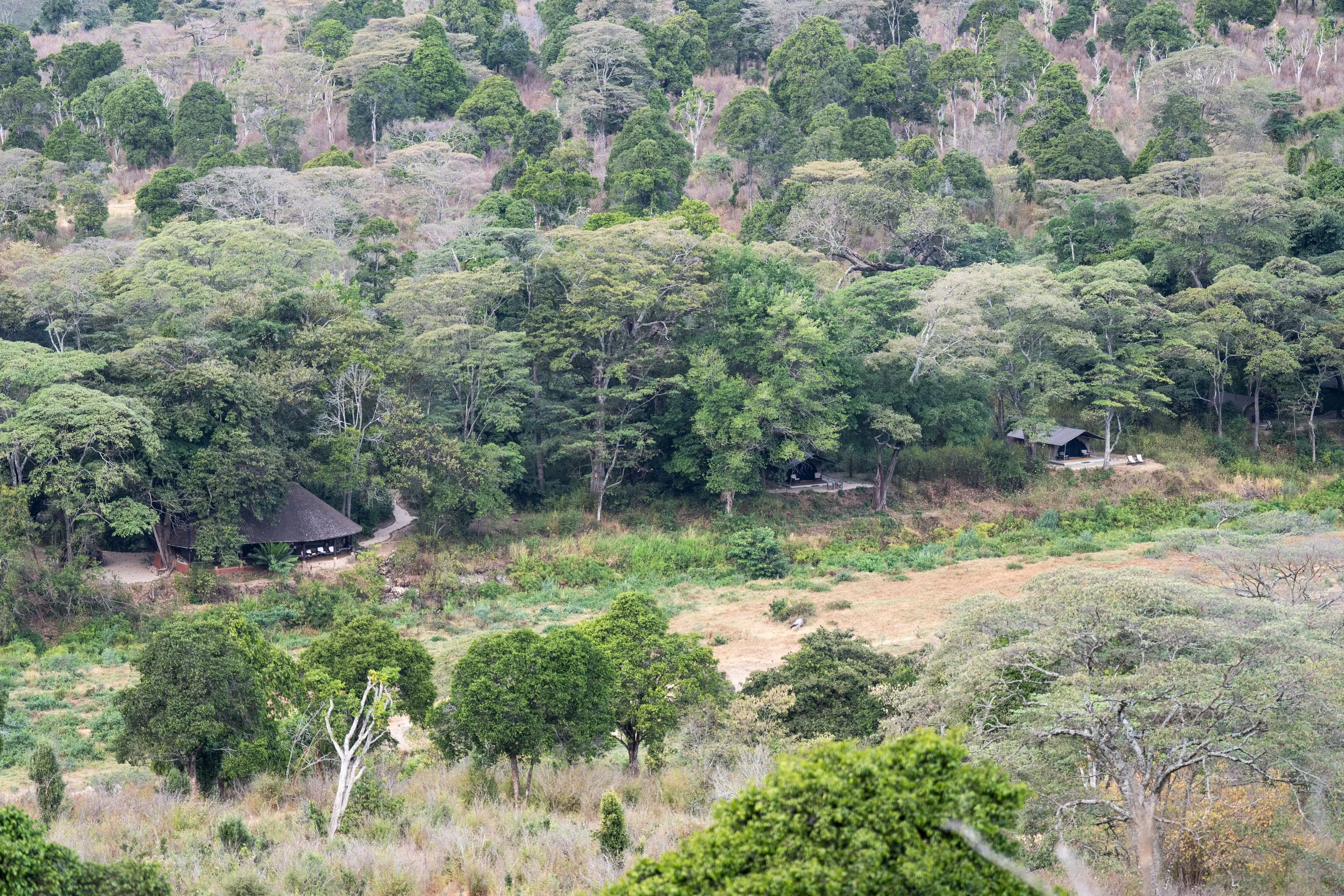 The Place — Kitich Forest Camp