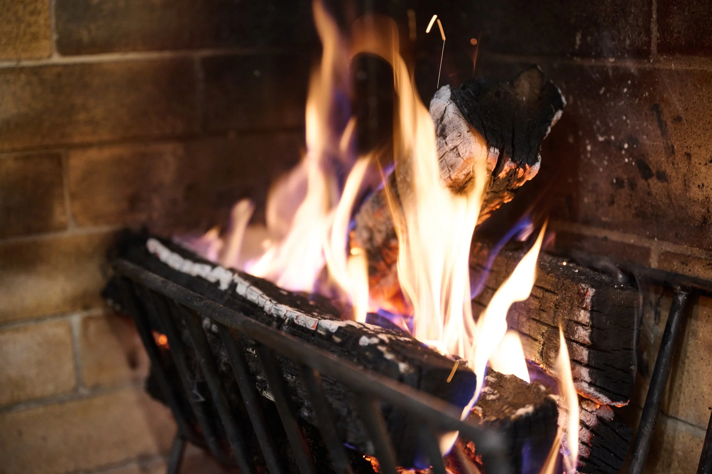 Ardor Breads & Provisions