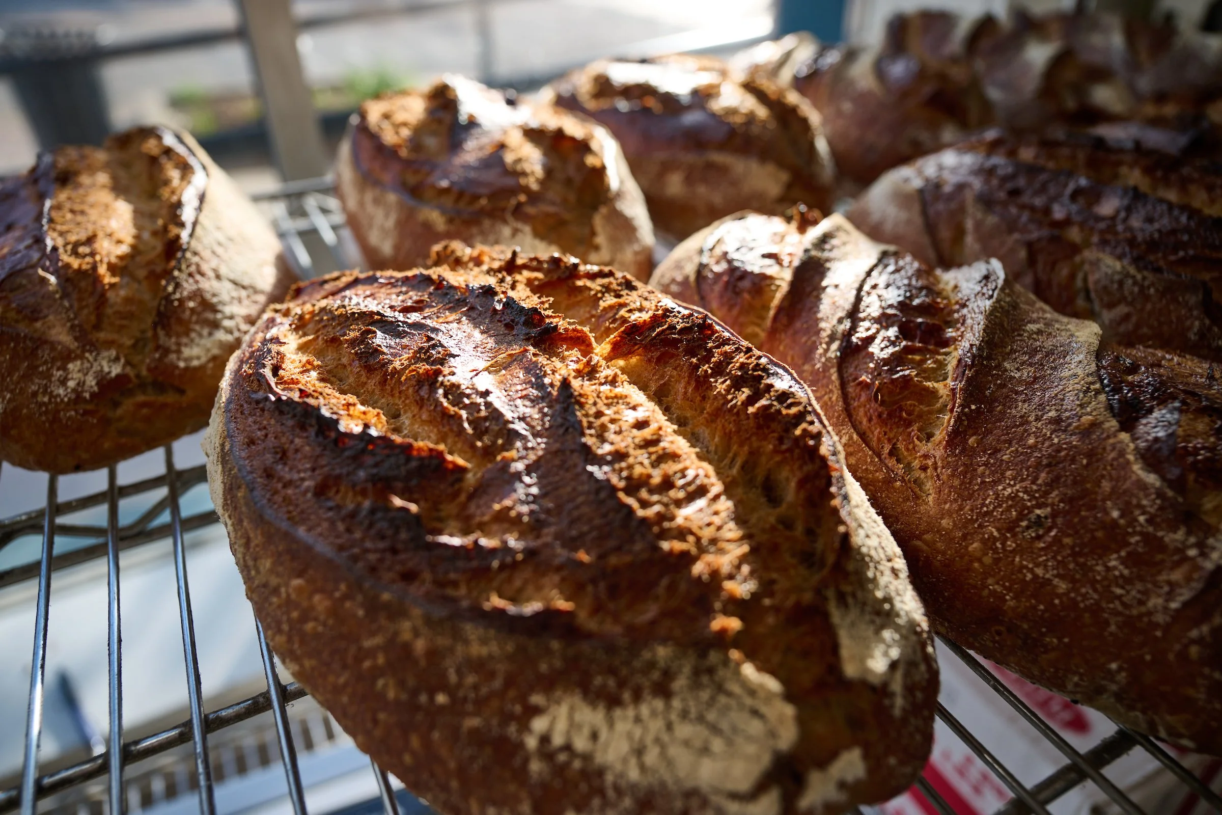 Ardor Breads & Provisions