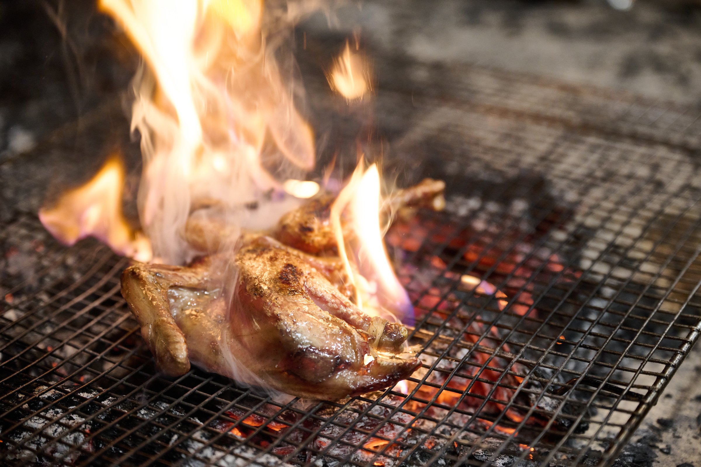 Ardor Breads & Provisions