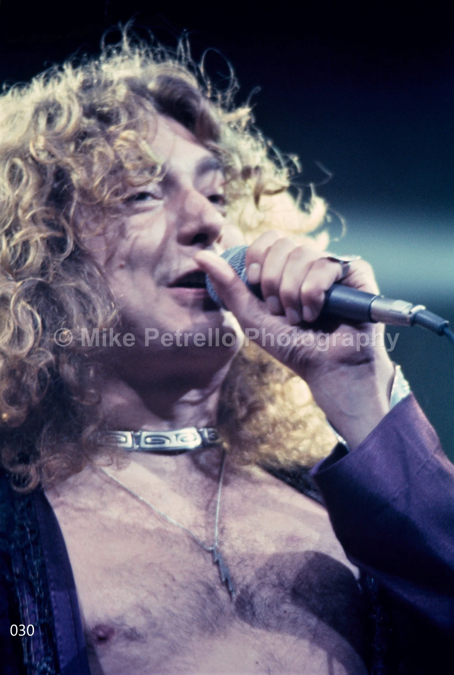 Gallery — Mike Petrello Photography