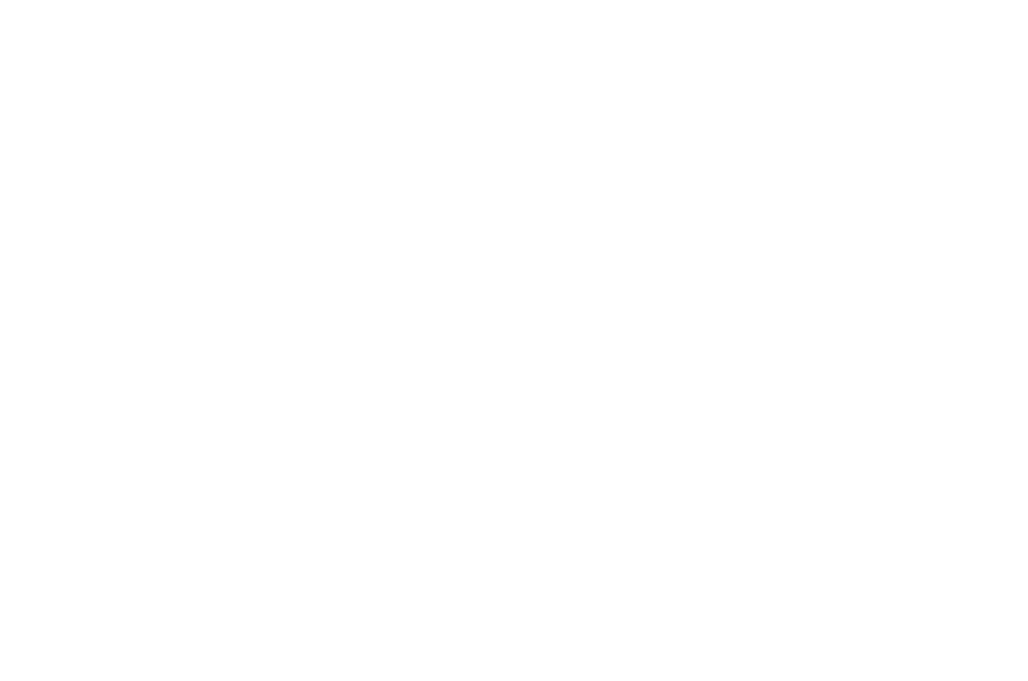Colonel Charles Lynch — Avoca Museum