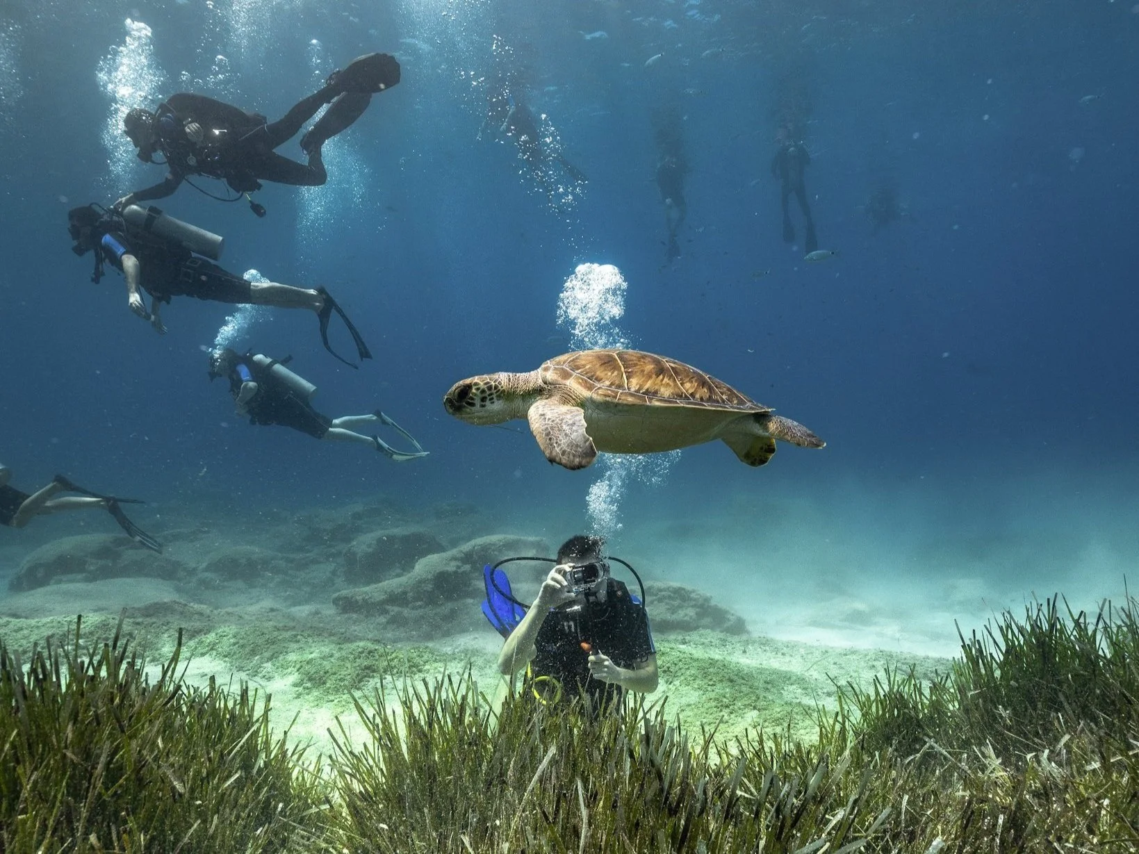Aquanaut Diving School Protaras Cyprus