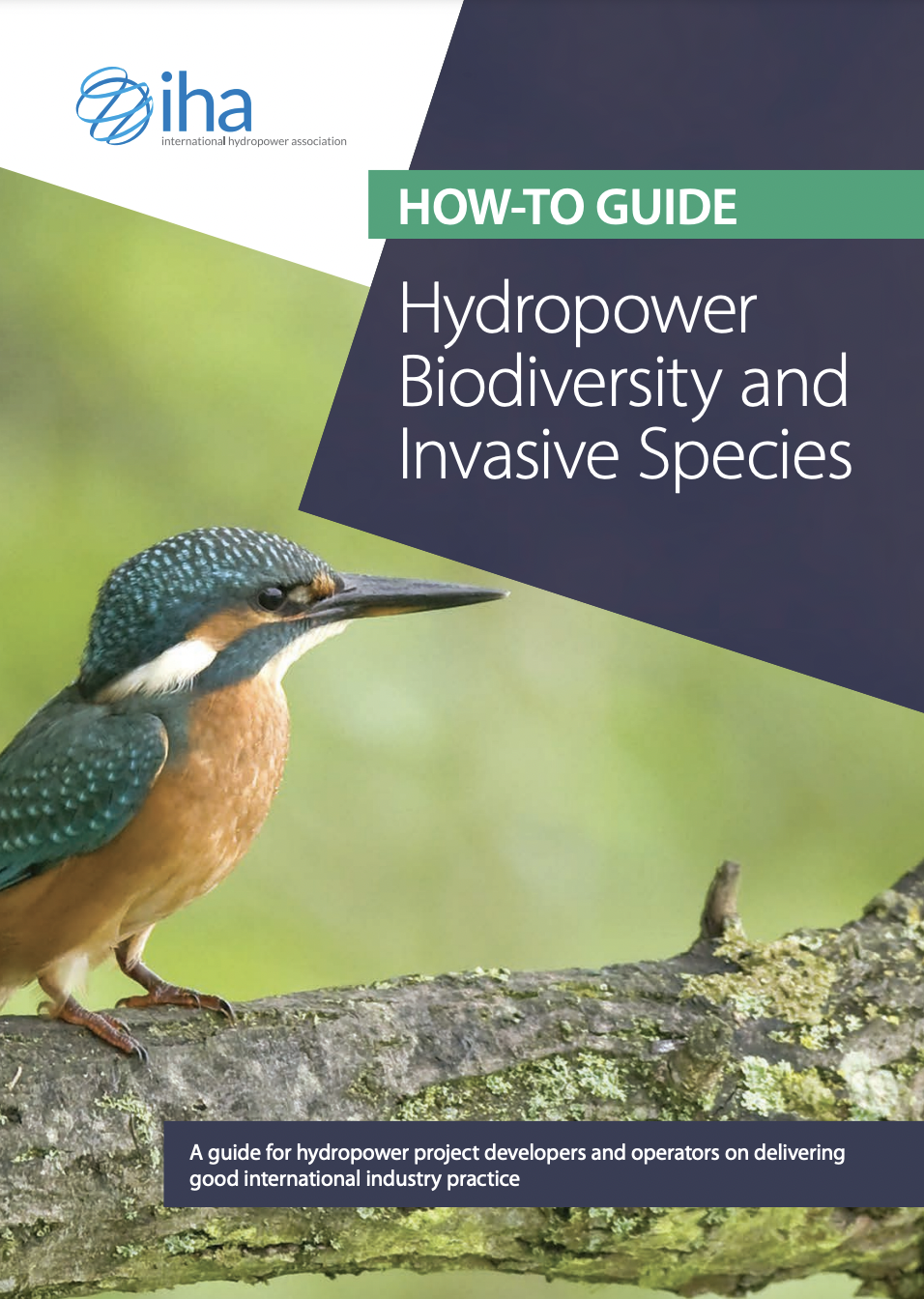 Hydropower biodiversity and invasive species