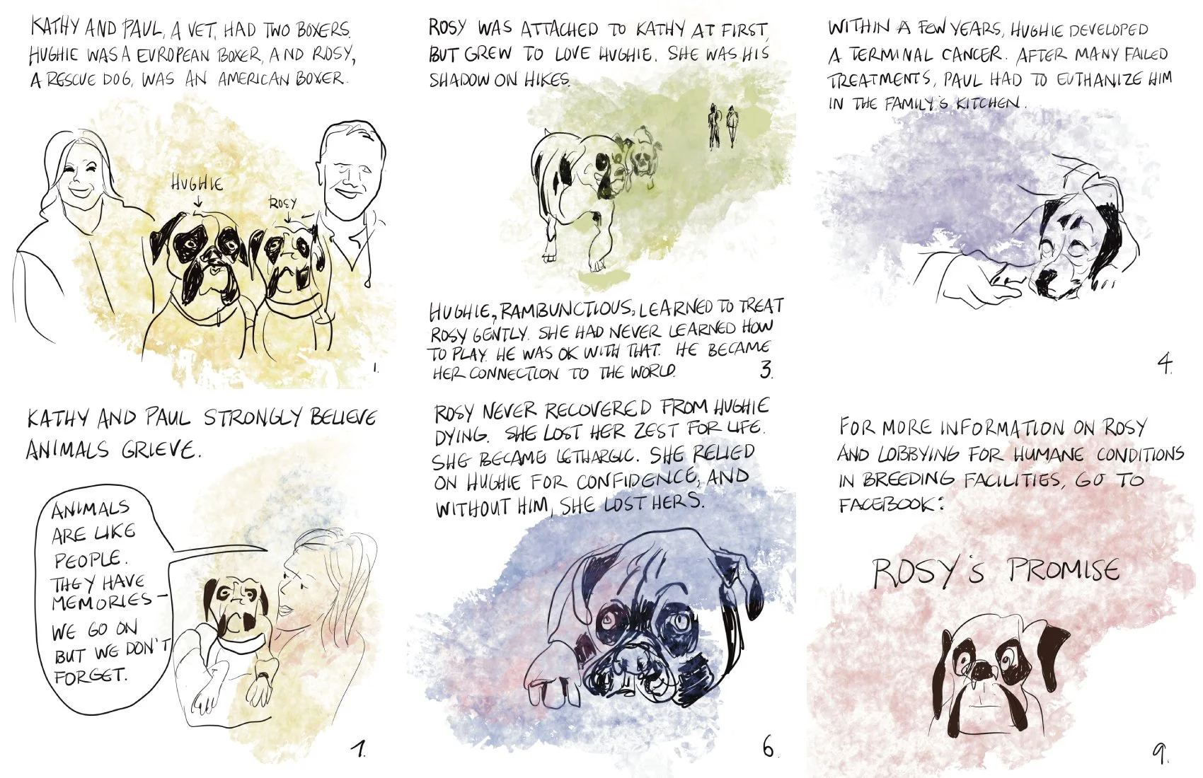 Grief Cartoons — Grief Matters