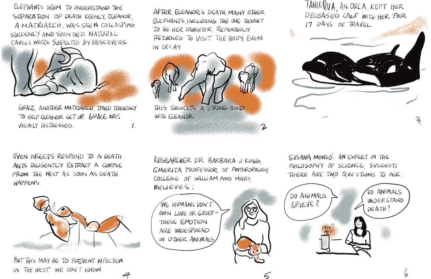 Grief Cartoons — Grief Matters