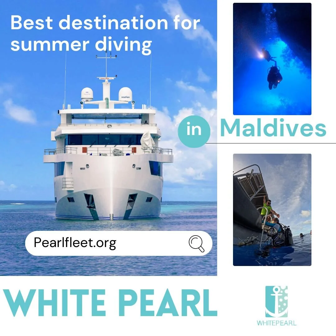 Plan Your Trip — Pearl Fleet Liveaboards