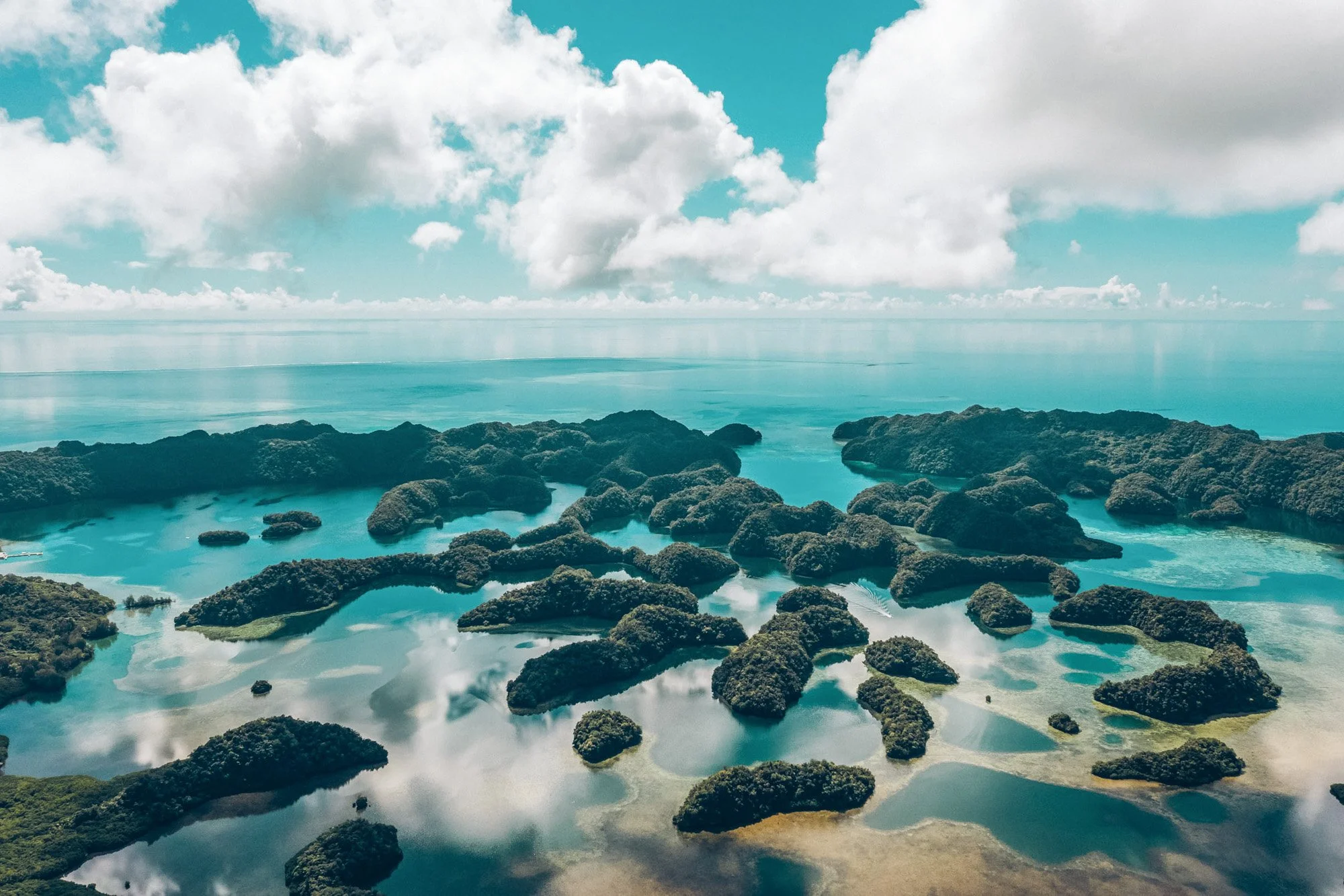 Palau — Pearl Fleet Liveaboards