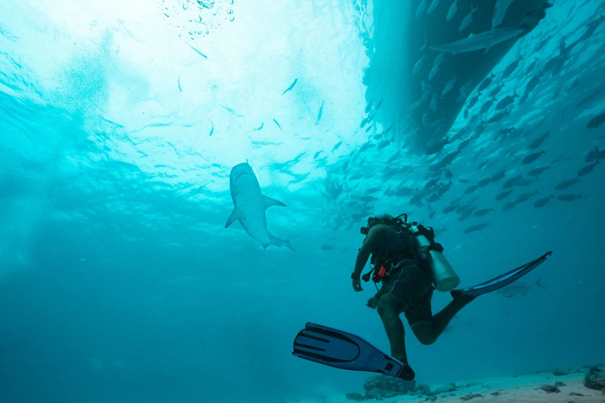 Wonders of Deep South 10 Nights — Pearl Fleet Liveaboards